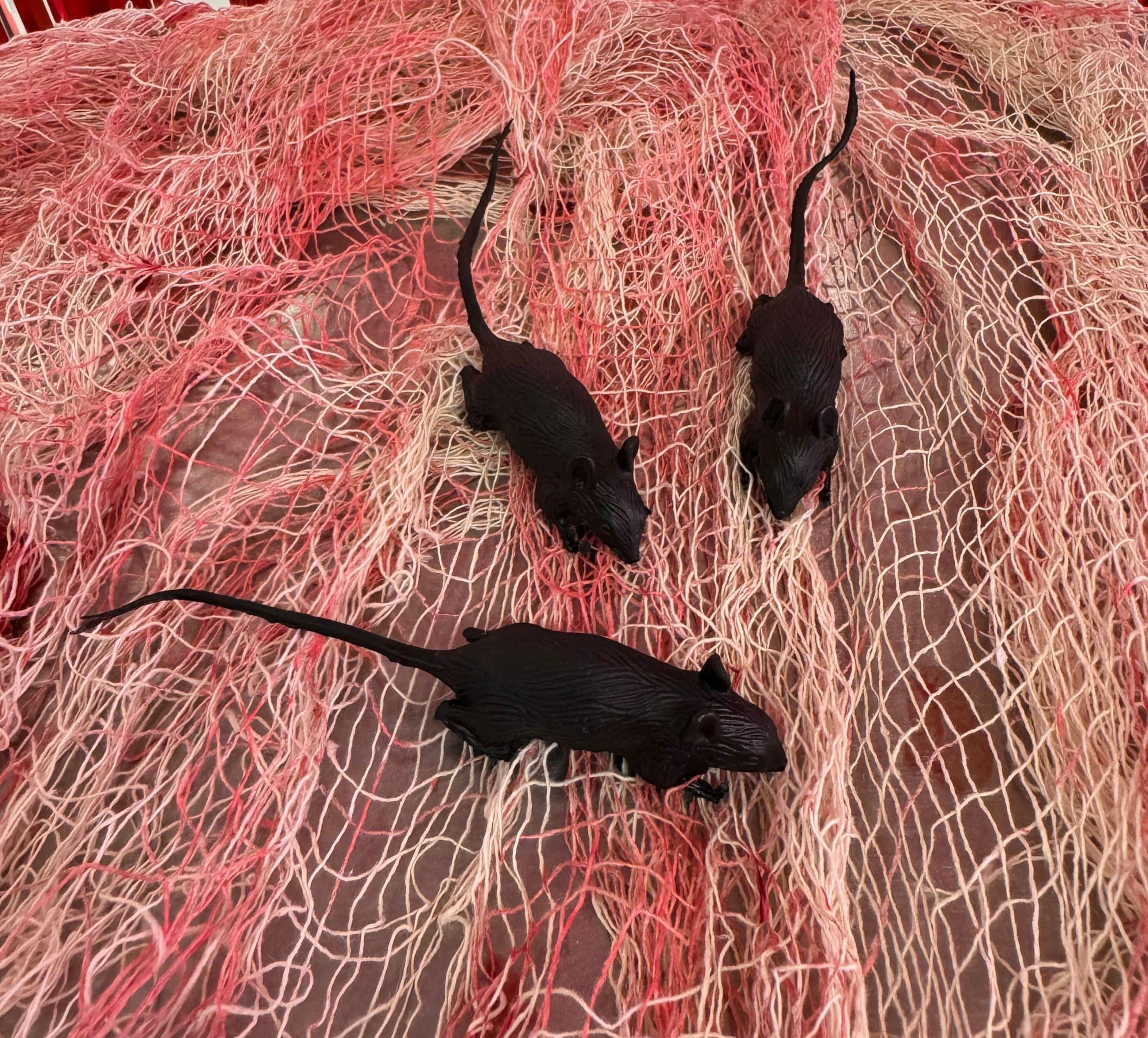 Små rotter - Party In A Box - Party