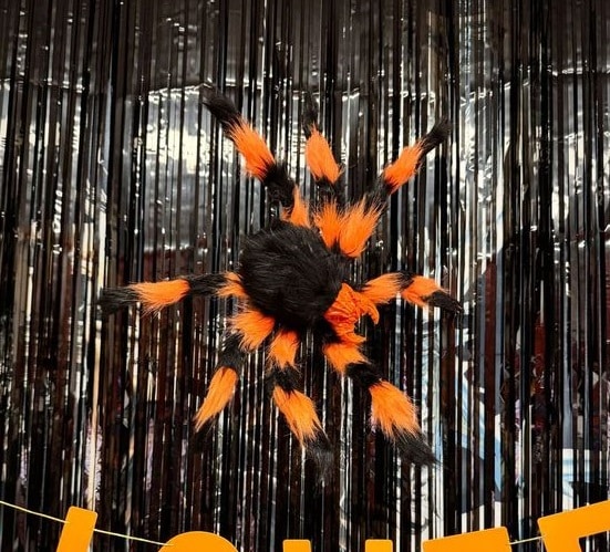 Uhyggelig edderkop (stor) - Party In A Box - Party